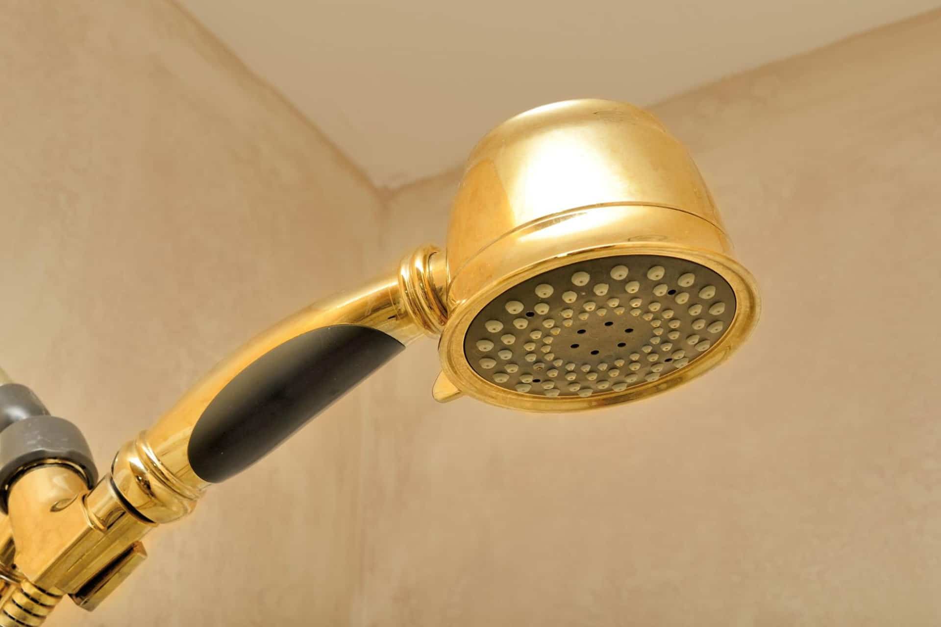 5 Types Of Shower Heads For A Luxurious Experience PlumbWize 5 Types Of Shower Heads For A Luxurious Experience PlumbWize
